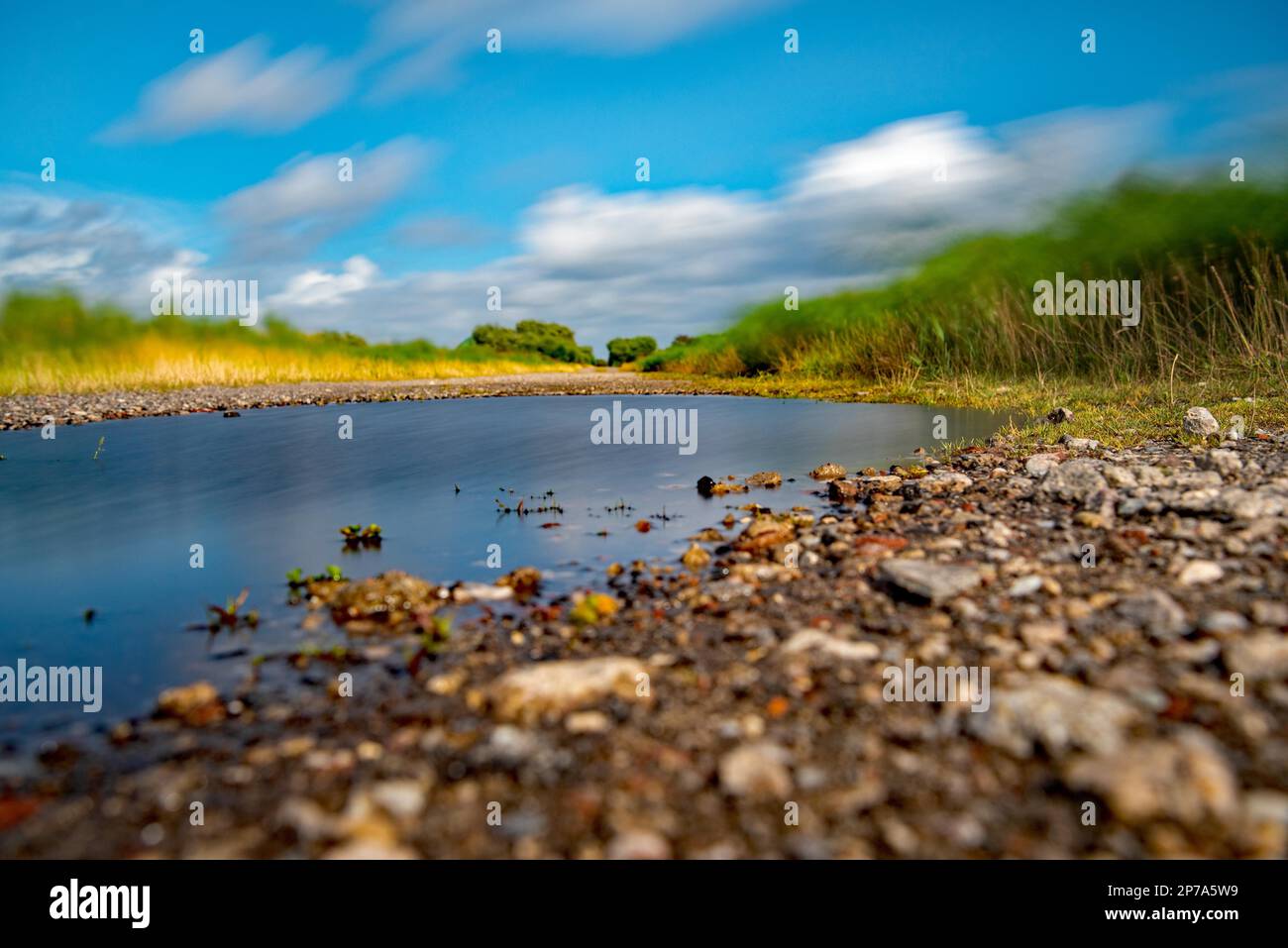Puddles of water on a dirt road Stock Photo - Alamy