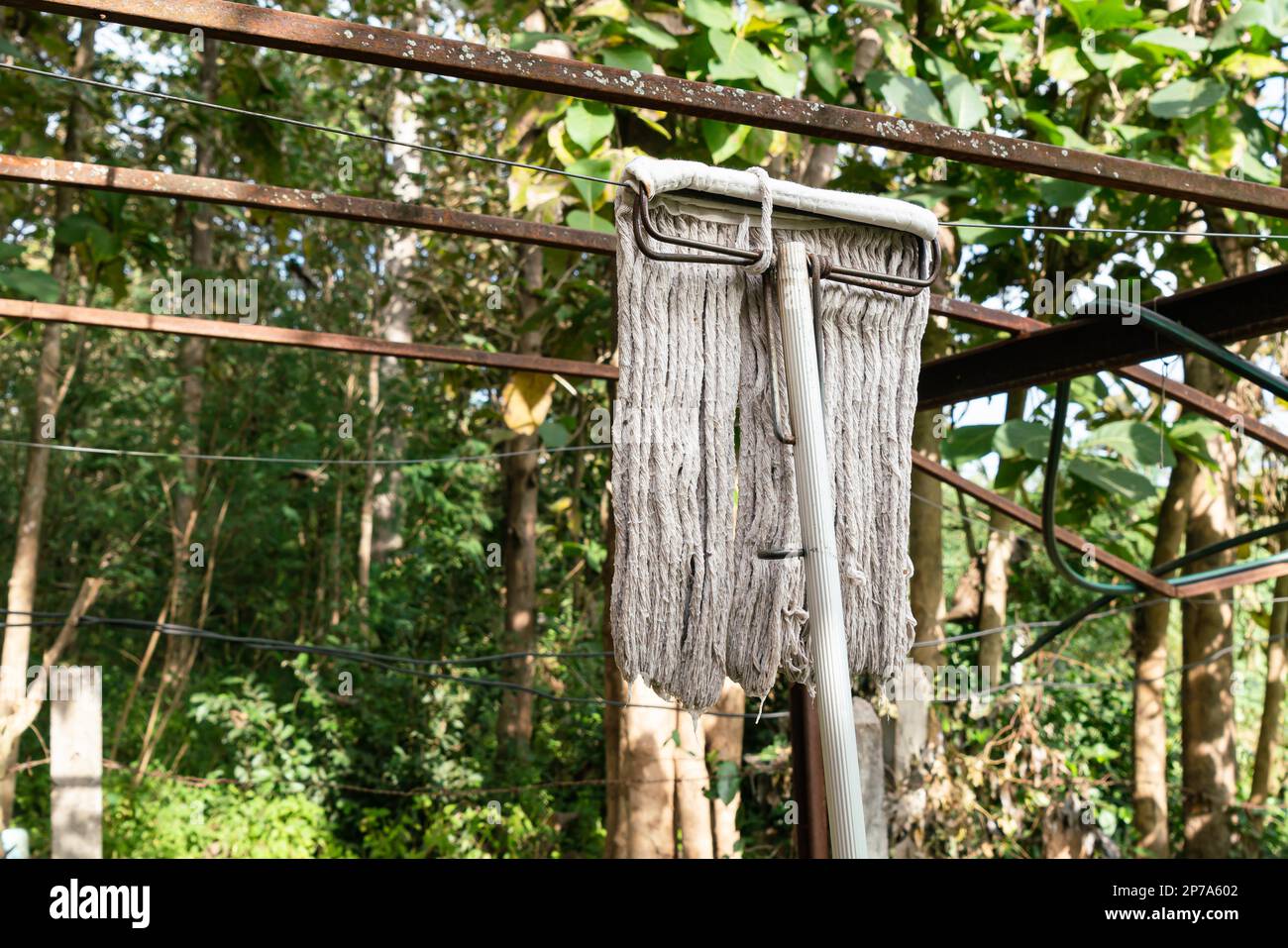 Mop hanging on a wire with forest in the background. Dirty wet mop with ...