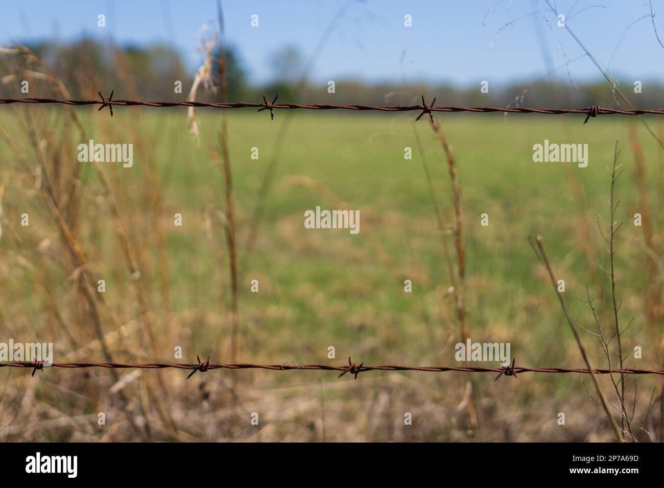 Barb Wire Fence in Front of an Empty Field Stock Photo - Alamy