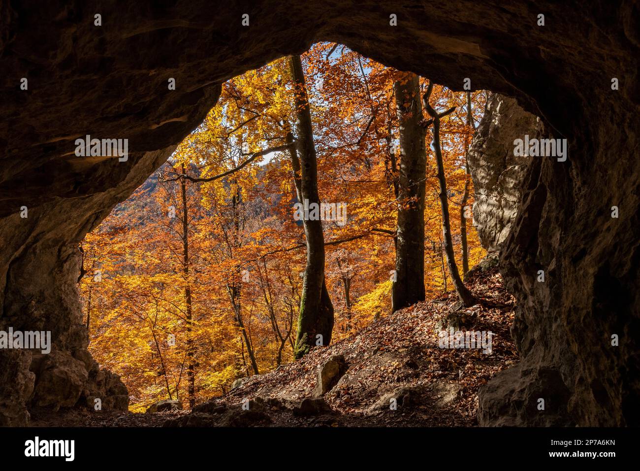 Rock cave, autumn forest, Swabian Alb, Baden-Wuerttemberg, Germany ...