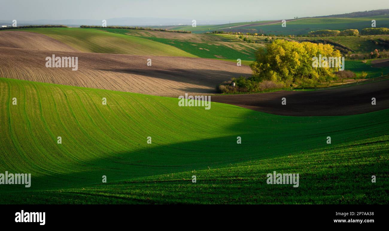 Wonderful landscapes of autumn Moravian fields in the golden hour ...