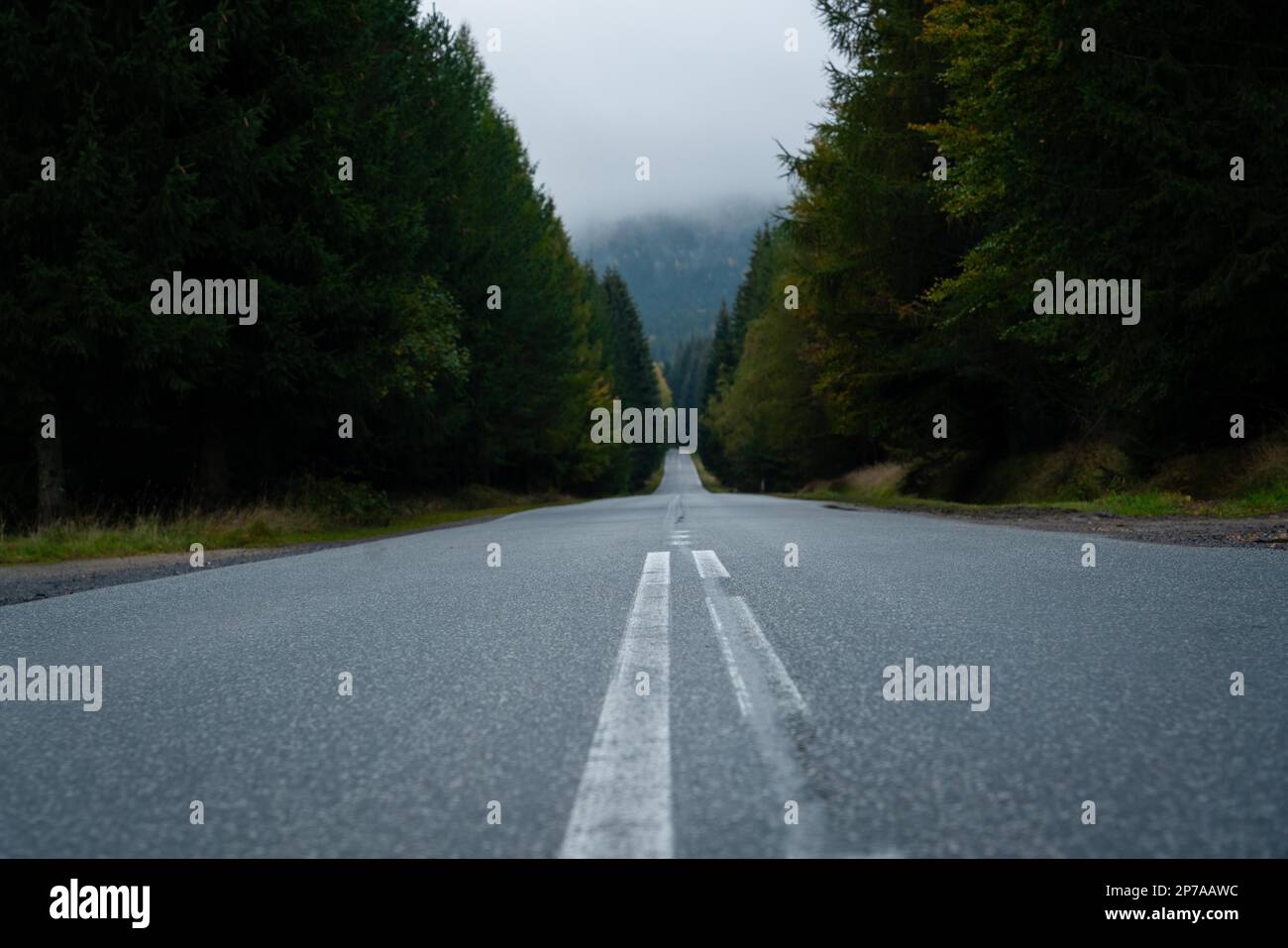A straight section of an asphalt road in the mountains through the ...