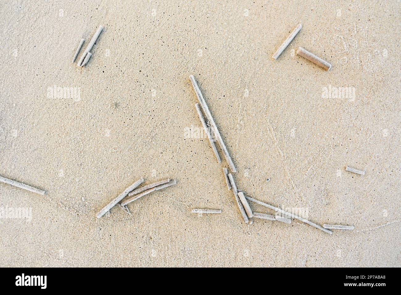 Objects on the frosty surface of the sand Stock Photo - Alamy