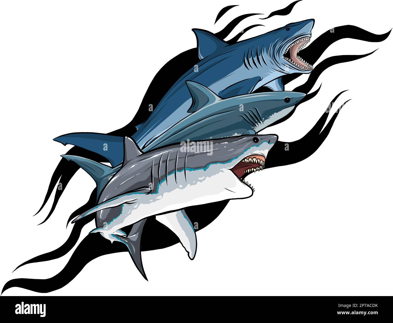 Sharks Collection Great White Shark Stock Vector Image And Art Alamy