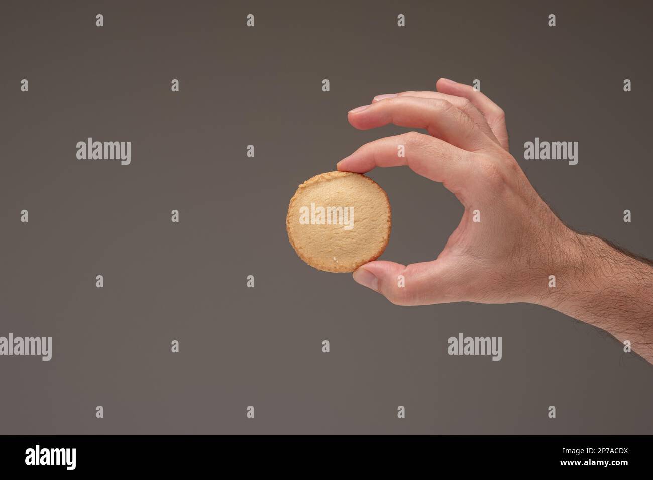Single shortbread biscuit held by male hand. Close up studio shot ...
