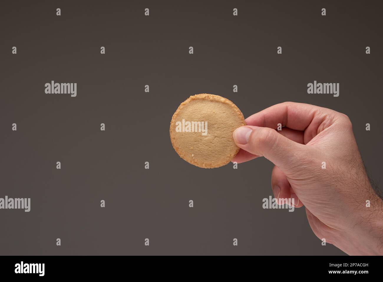 Single shortbread biscuit held by male hand. Close up studio shot ...