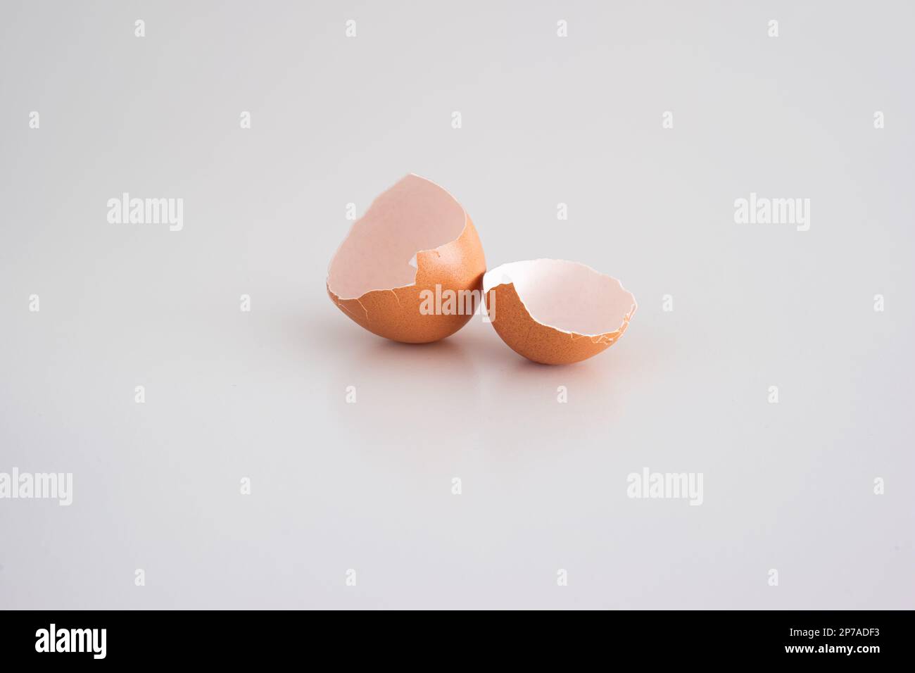 Cracked broken open chicken eggshells on white background. Close up ...