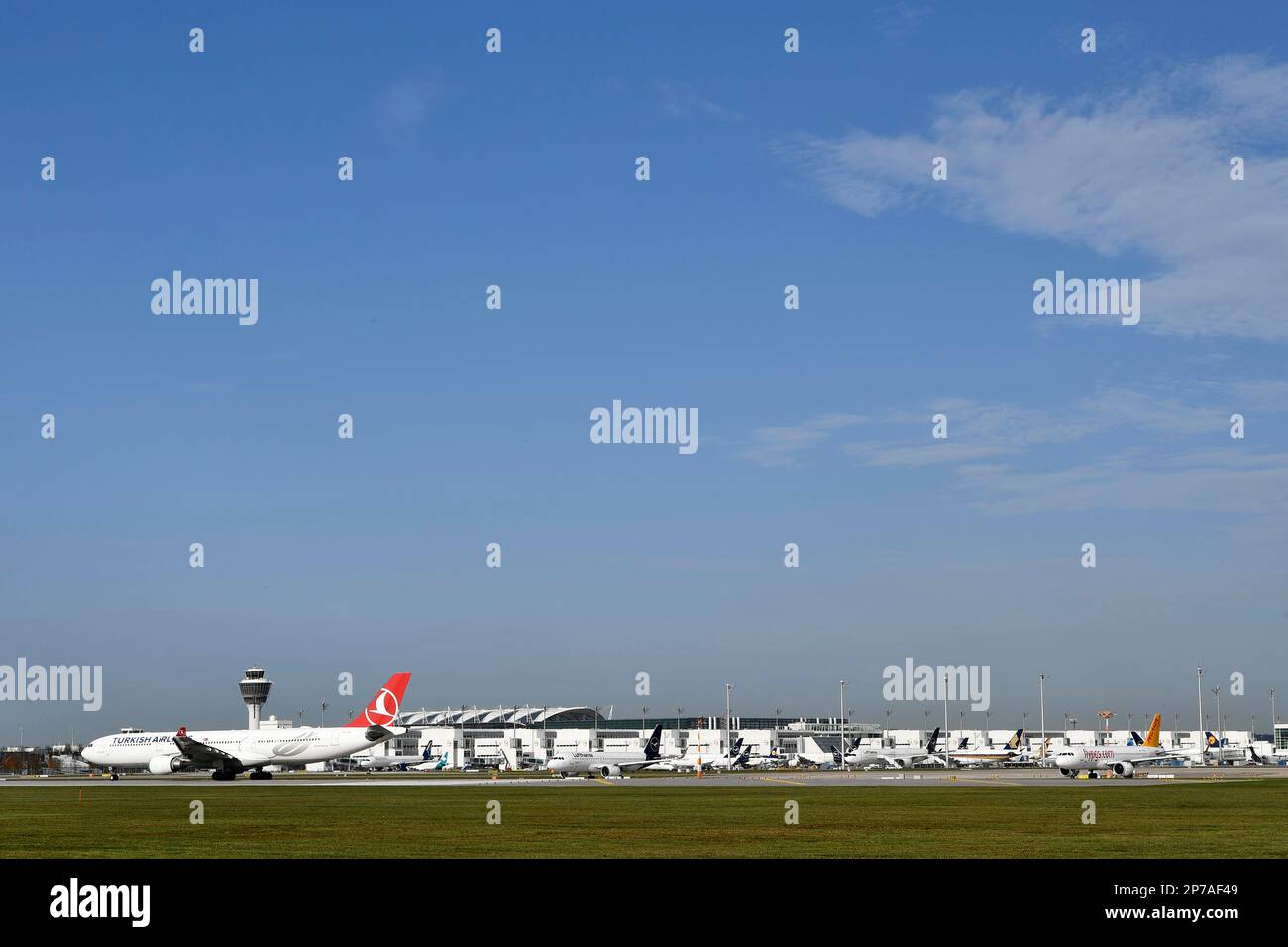 Aircraft taking off Turkish Airlines Airbus A350-900, Pegasus and ...