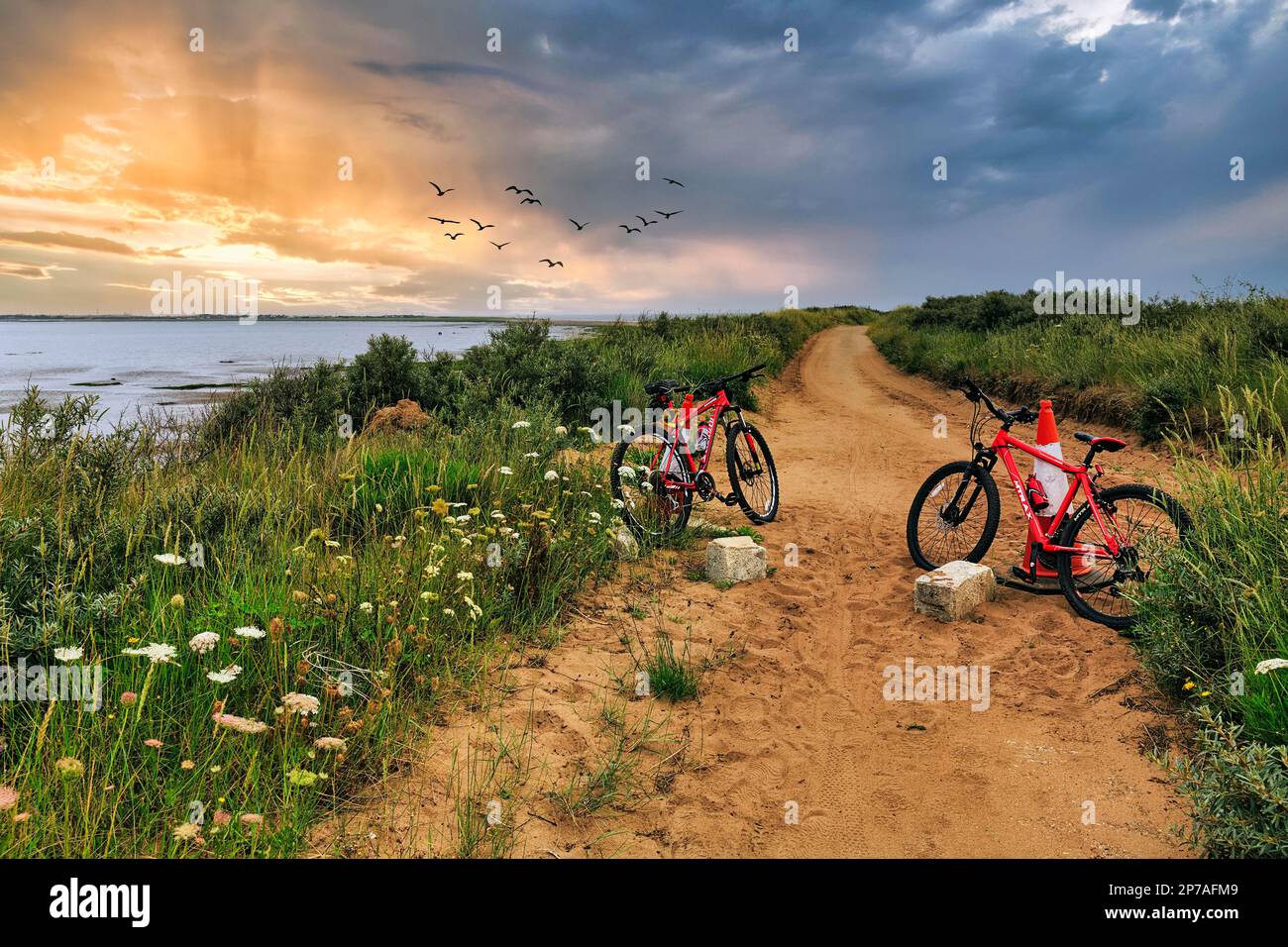 Spurn Nature Reserve, Bicycles, Evening Sky, Spurn Point, Hull ...