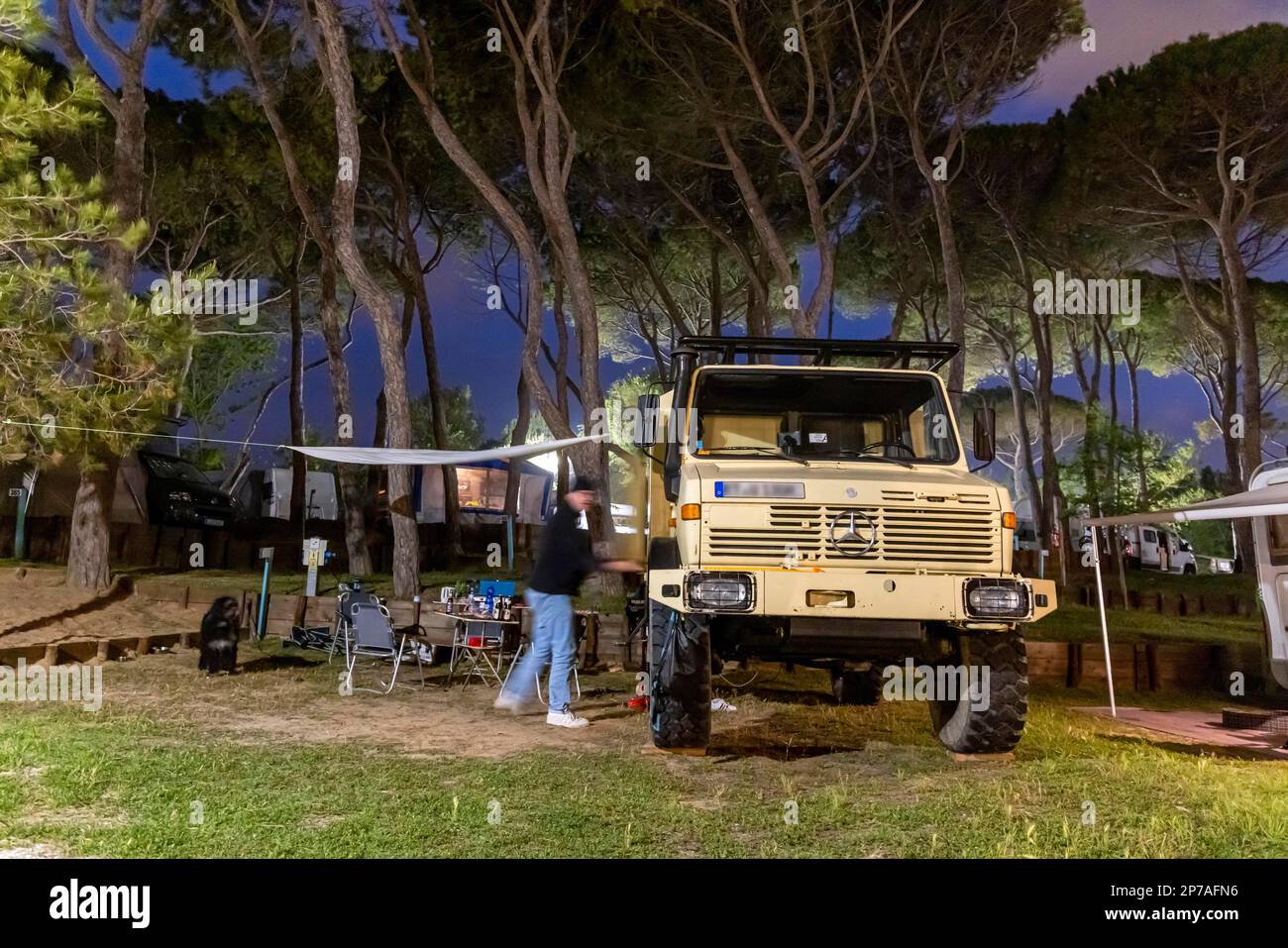 Camping under pine trees, Unimog motorhome on a campsite on the ...