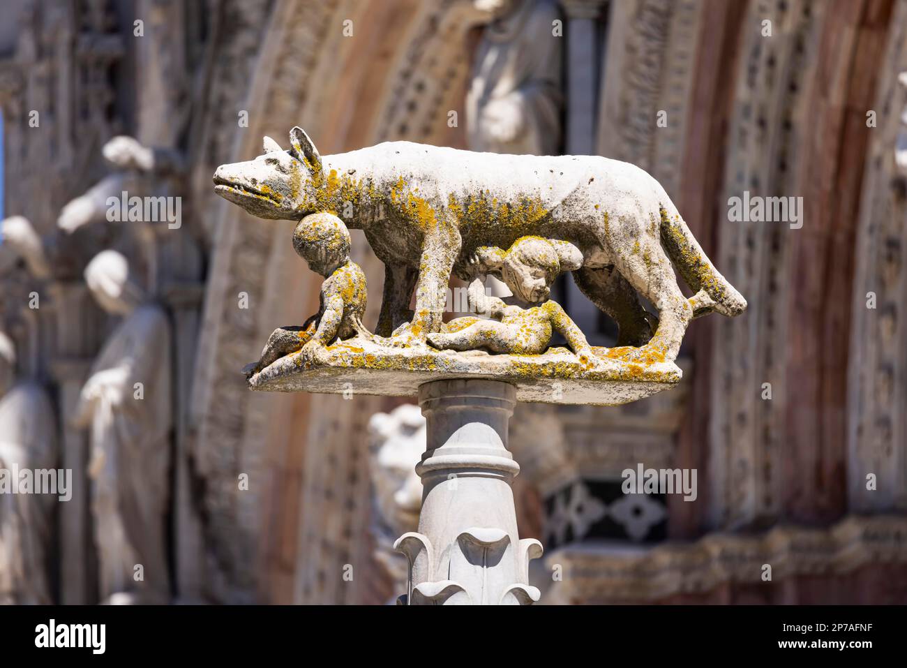 Rome statue romulus remus hi-res stock photography and images - Alamy