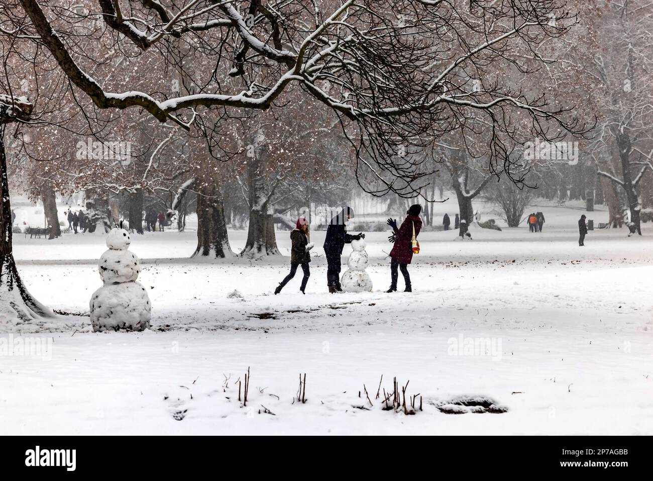 Winter in the Lower Palace Garden, snow lies in the park, a couple with ...