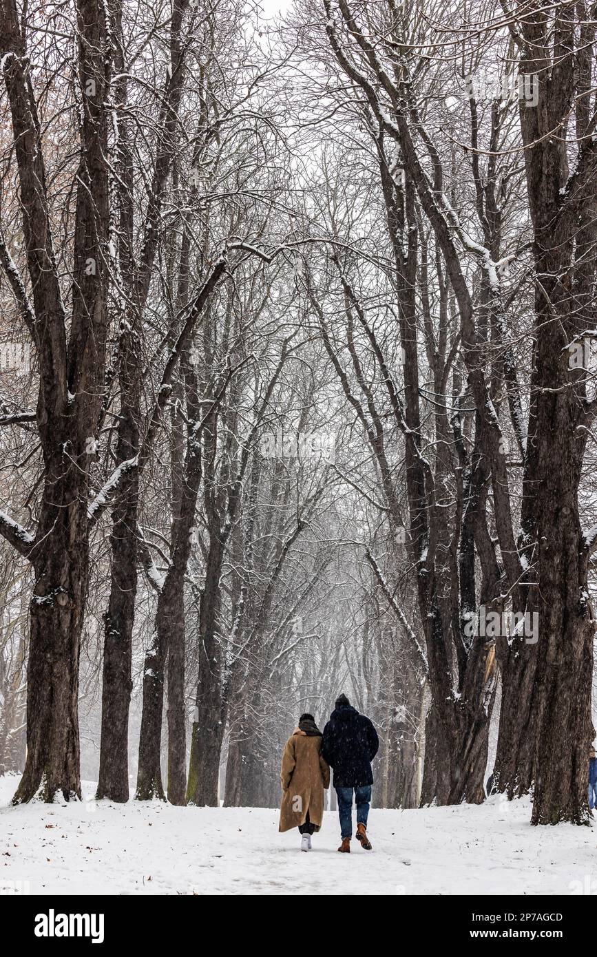 Winter in the Lower Palace Garden, a couple walking through an avenue ...