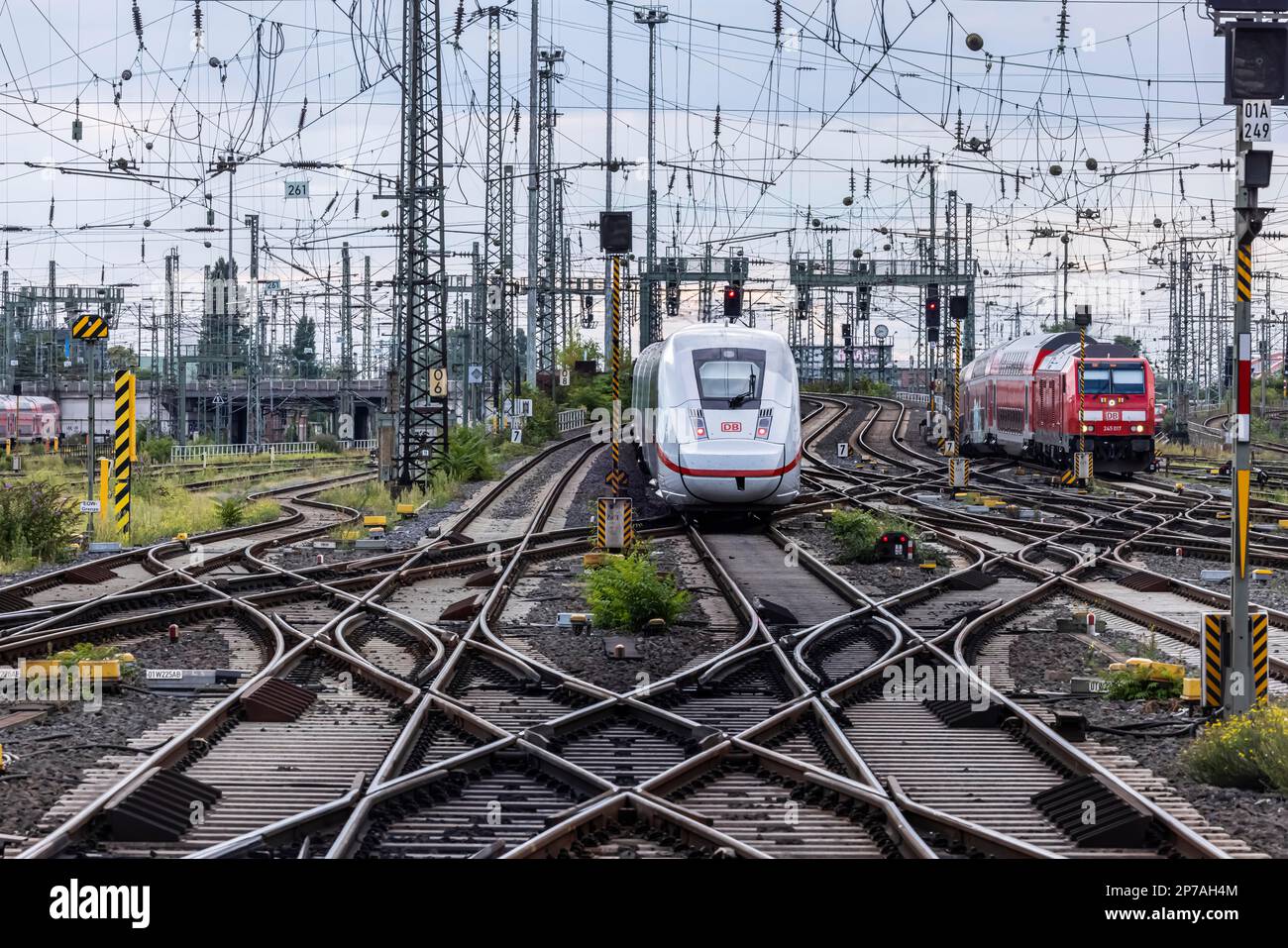 Main station, track apron with Deutsche Bahn ICE and regional train ...