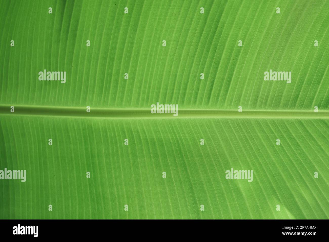 Adventure background nature ecology hi-res stock photography and images ...