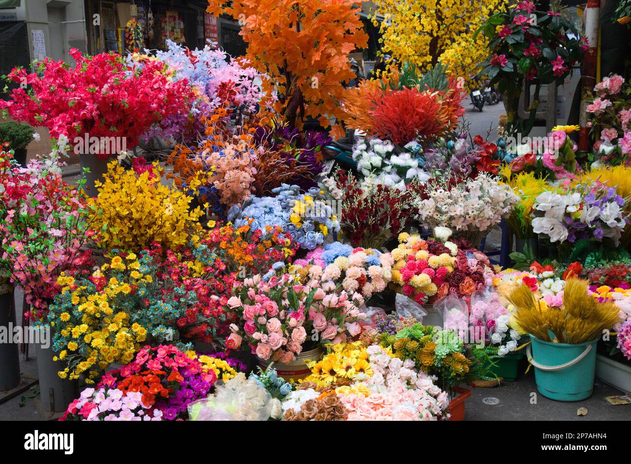 Vietnam, Hanoi, Tet, lunar new year, flower shop Stock Photo - Alamy