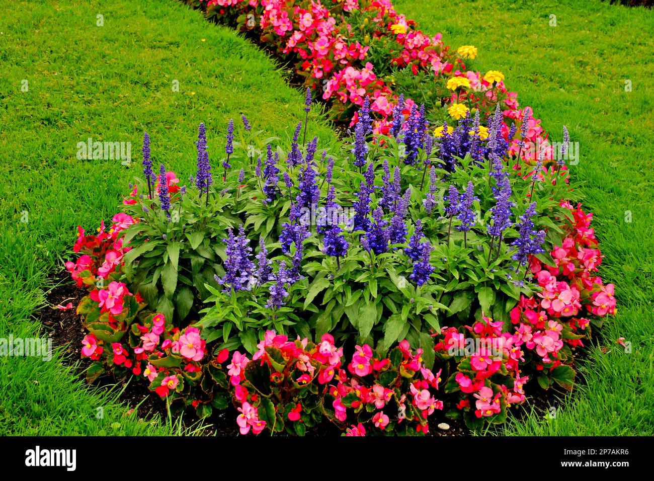 Colorful Flowers at Mirabell Garten, Salzburg, Austria, Europe Stock ...