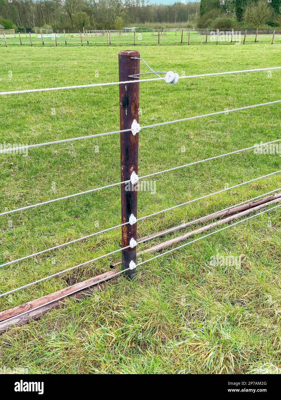 Stake for electric fence with six rows of power wires wires low current ...