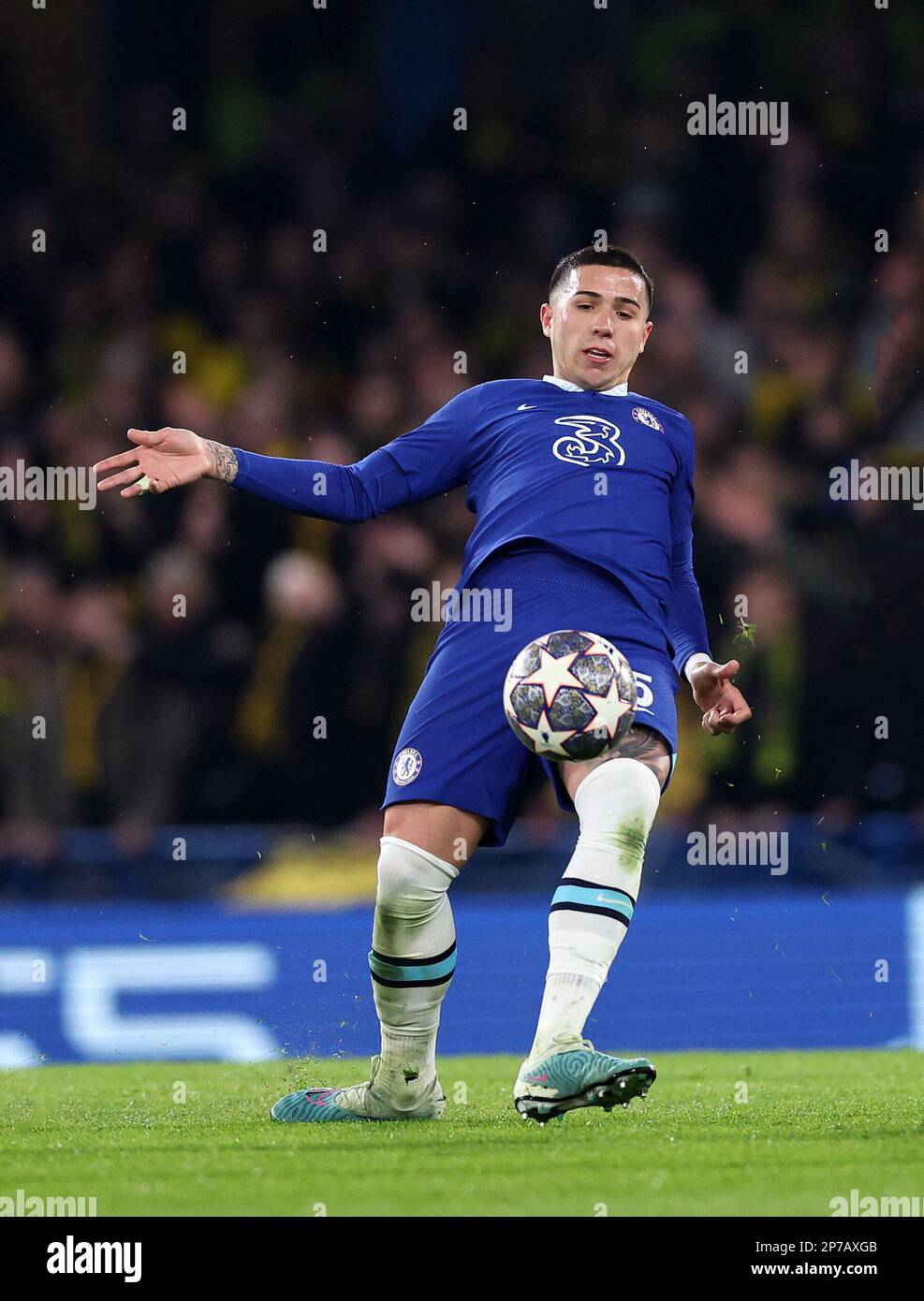Enzo fernandez champions league hi-res stock photography and images - Alamy