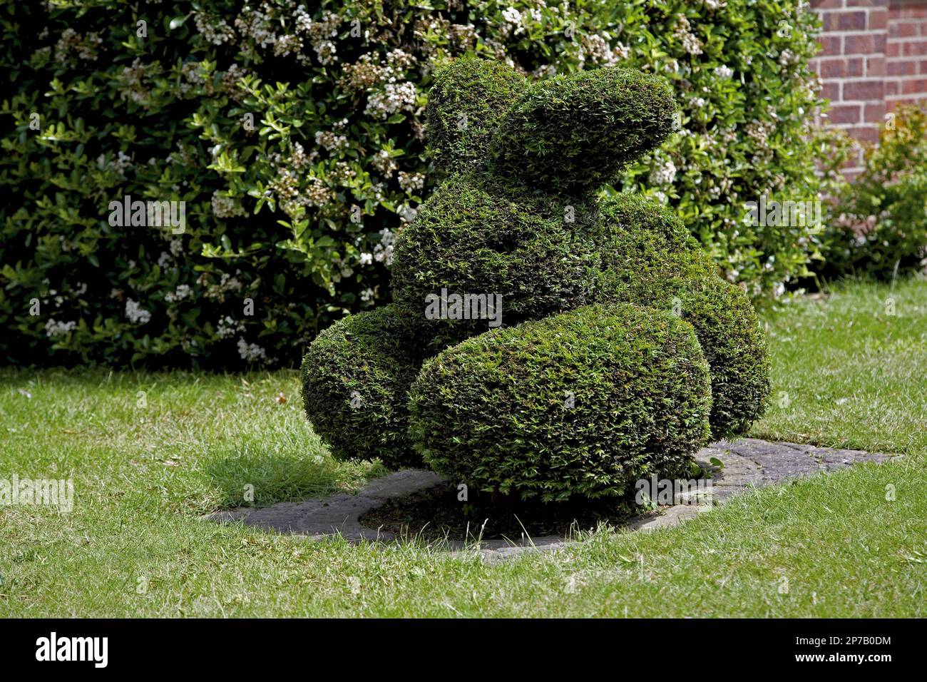 Topiary box hi-res stock photography and images - Alamy