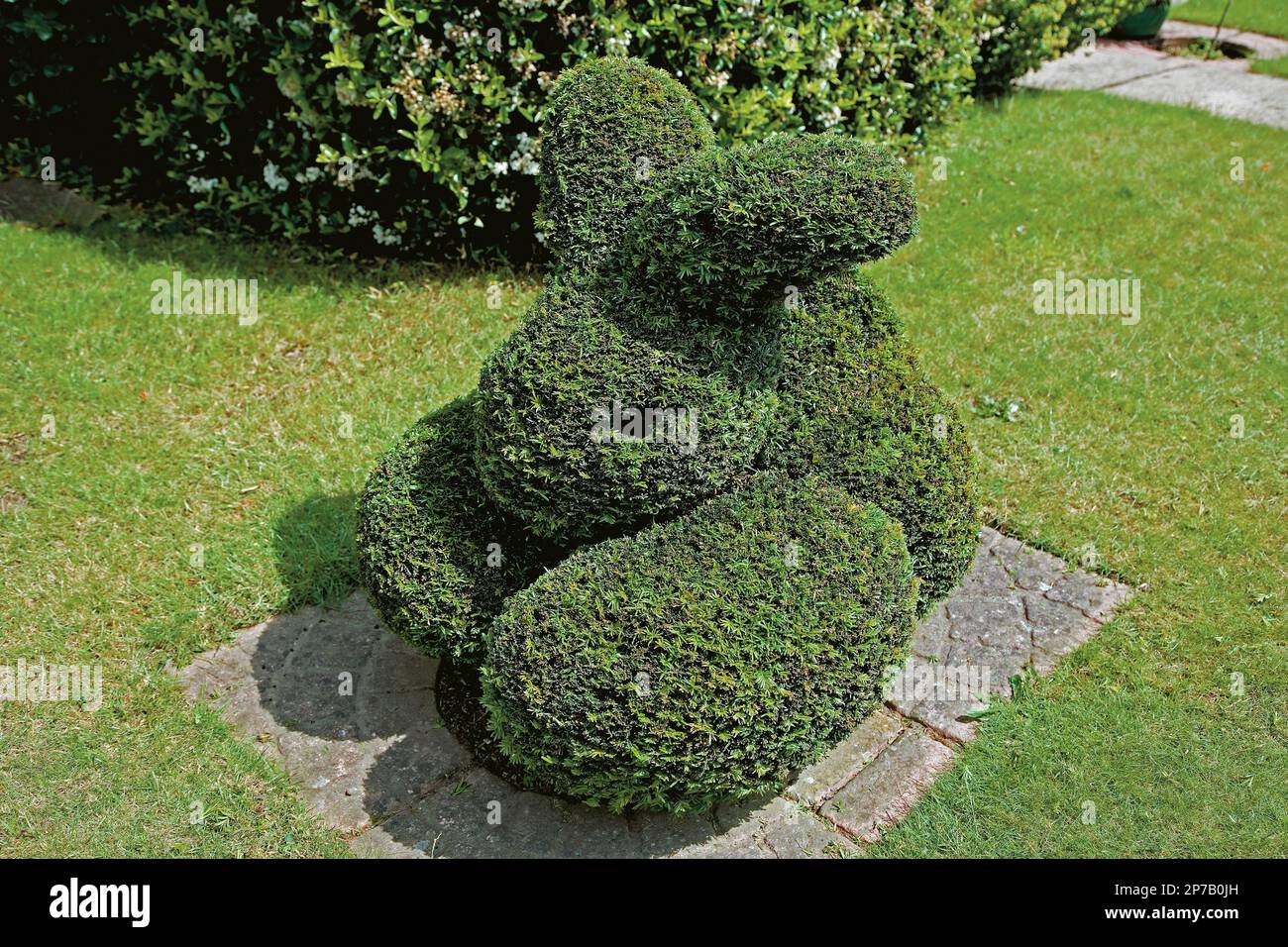 Topiary box hi-res stock photography and images - Alamy