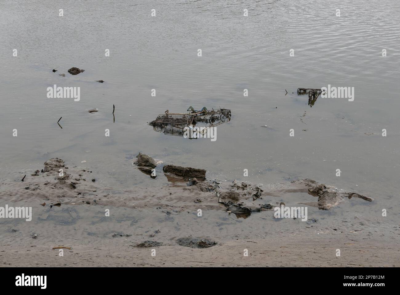 Rubbish sticking out of mud at low tide. Taw Estuary. Barnstaple, Devon ...