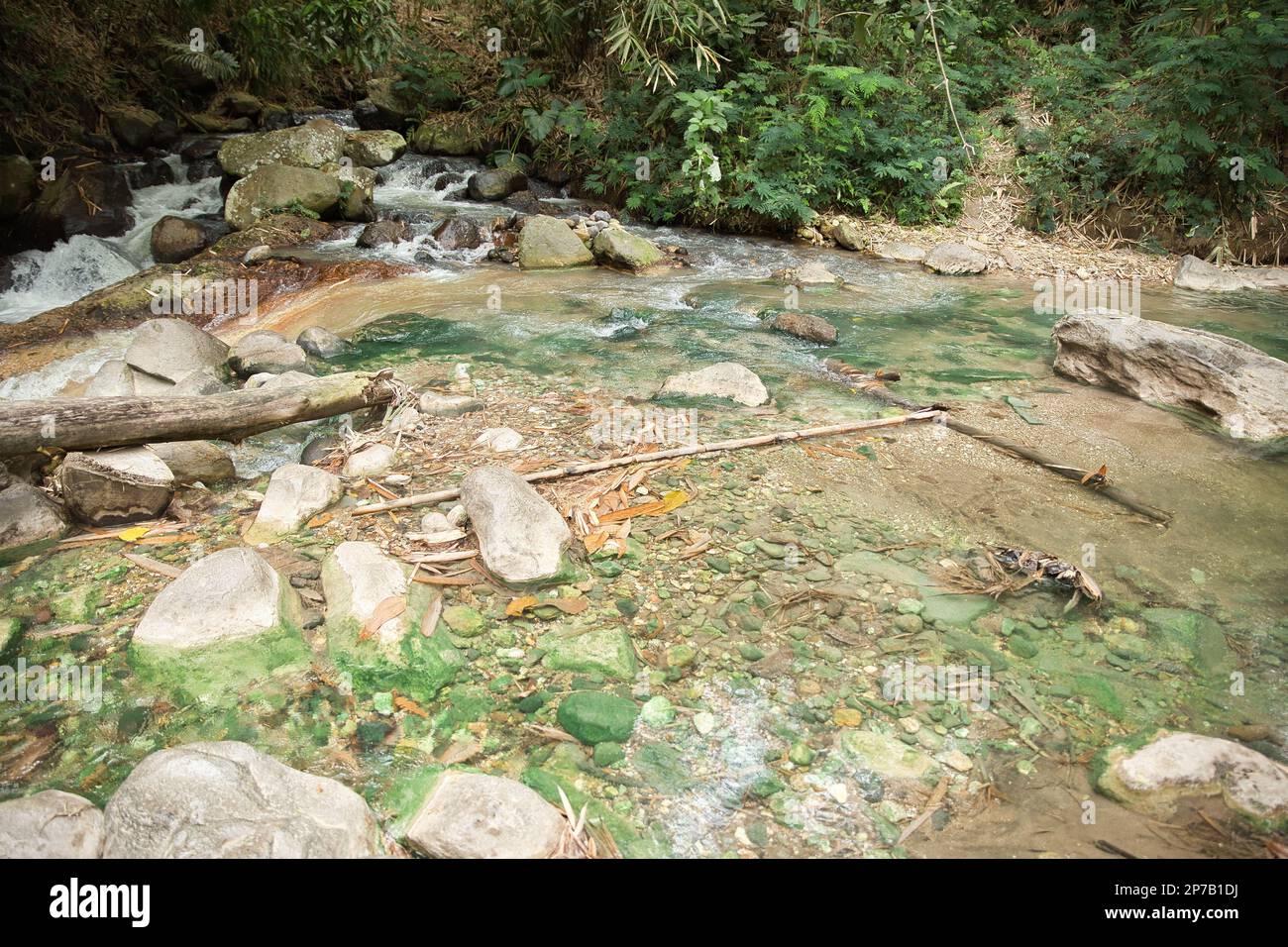 Peaceful shot of Malanage hot spring on Flores with green overgrown ...