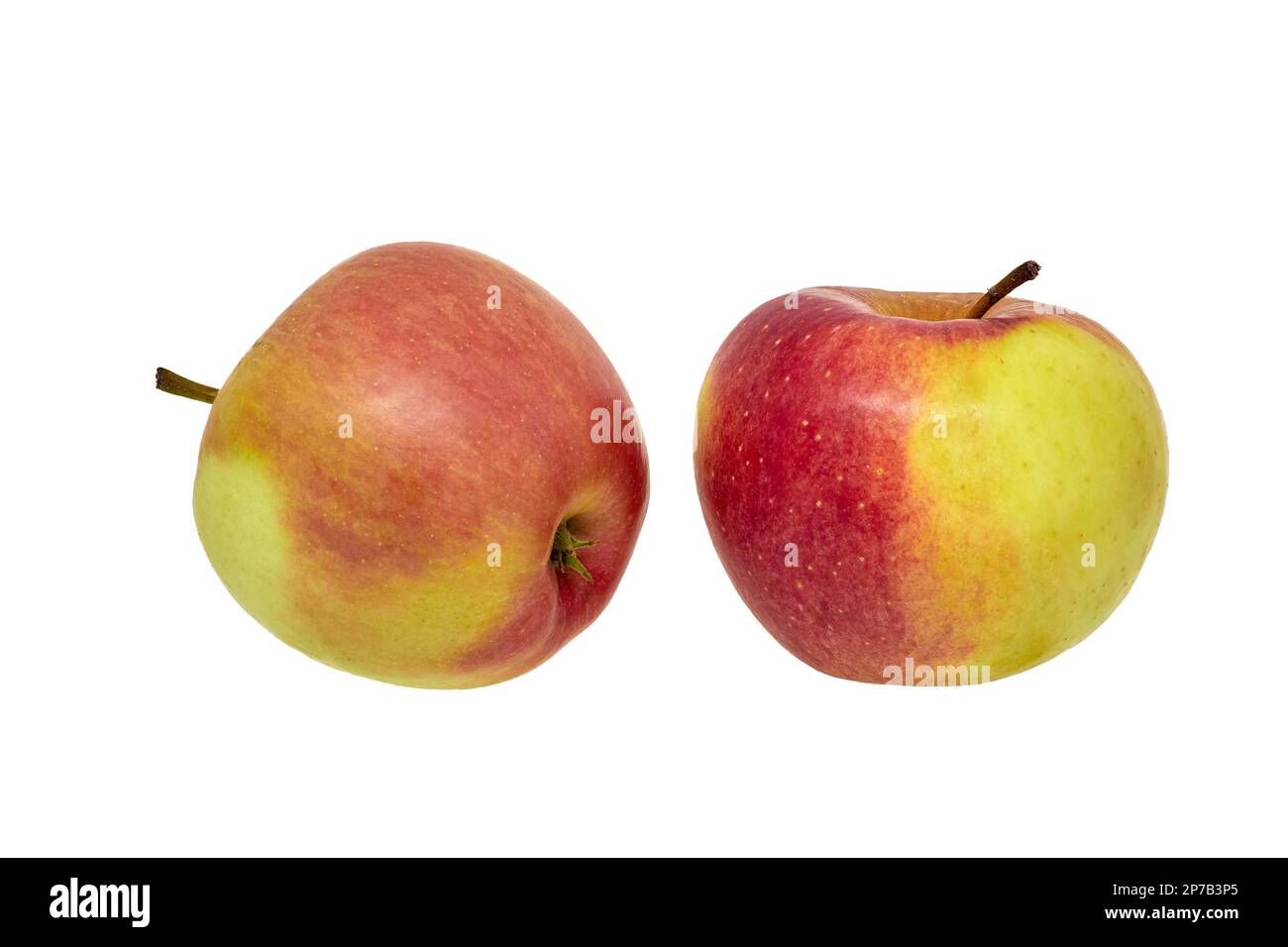 Two sided image Cut Out Stock Images & Pictures - Alamy