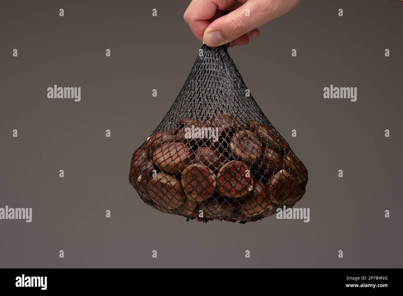 Raw edible chestnuts in a mesh plastic bag held by male hand. Close up ...