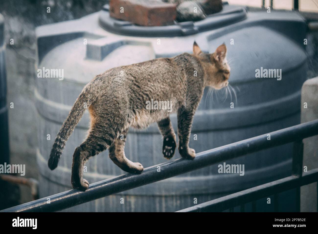 White water tanks hi-res stock photography and images - Alamy