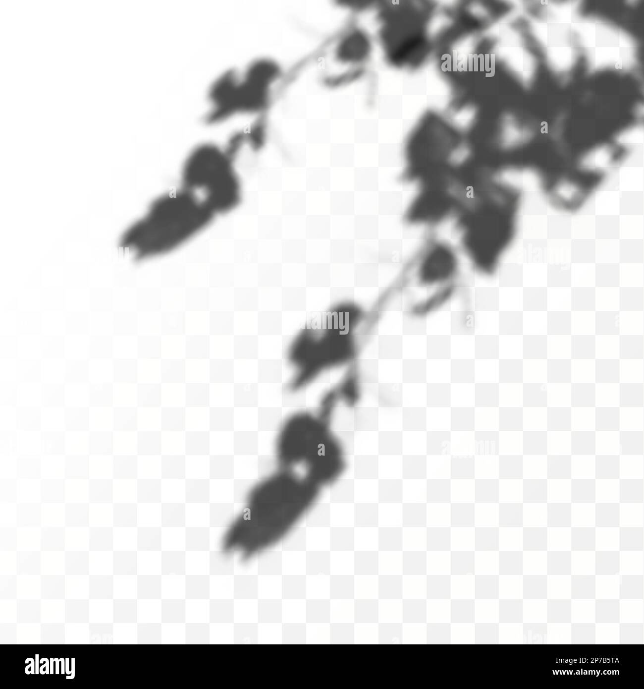 The effect of overlaying shadows. Realistic shadow tropical leaves and ...