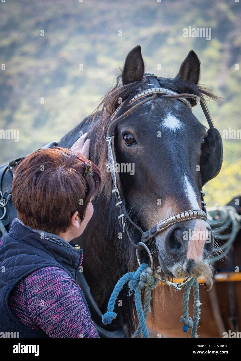 Everyday Life In Ireland Stock Photo - Alamy