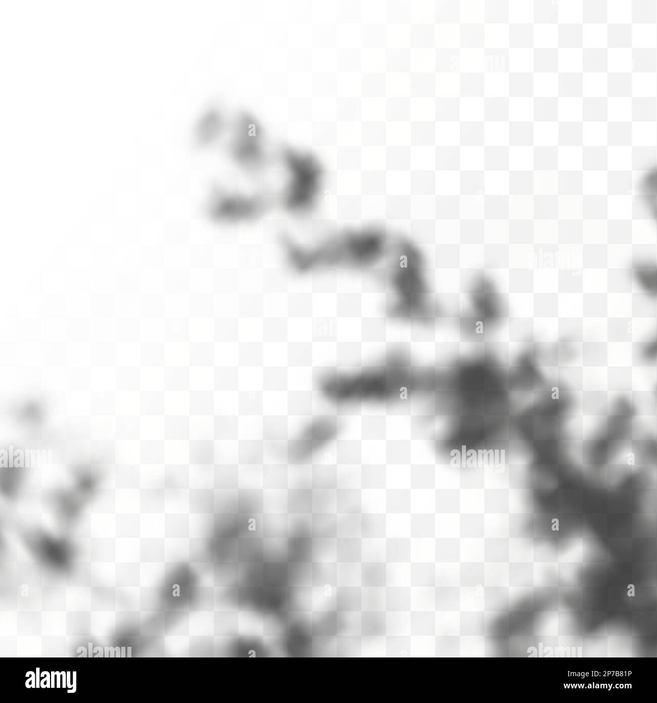 The effect of overlaying shadows. Realistic shadow tropical leaves and ...