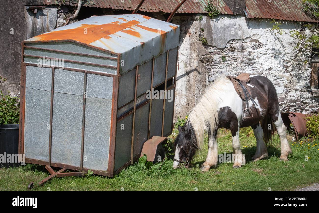 Everyday Life In Ireland Stock Photo - Alamy