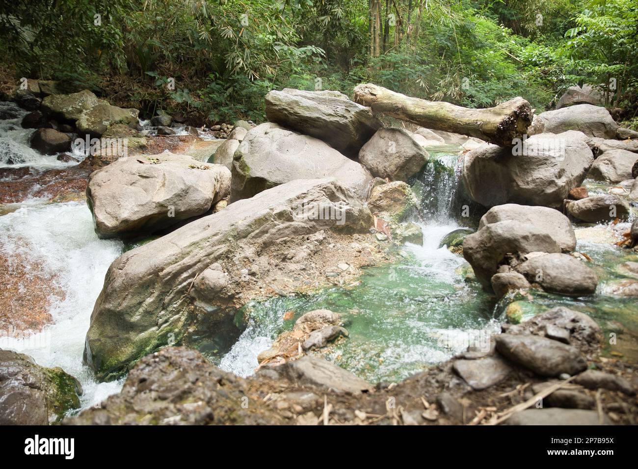 Peaceful shot of the hot spring of Malanage on Flores flowing down rocks surrounded by ...