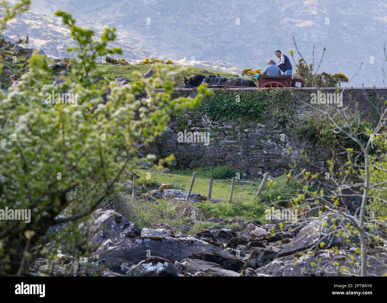 Everyday Life In Ireland Stock Photo - Alamy