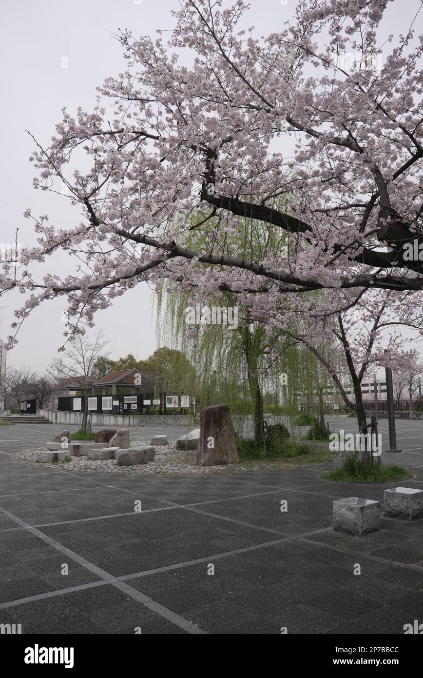 nature landscape worldwide Stock Photo - Alamy