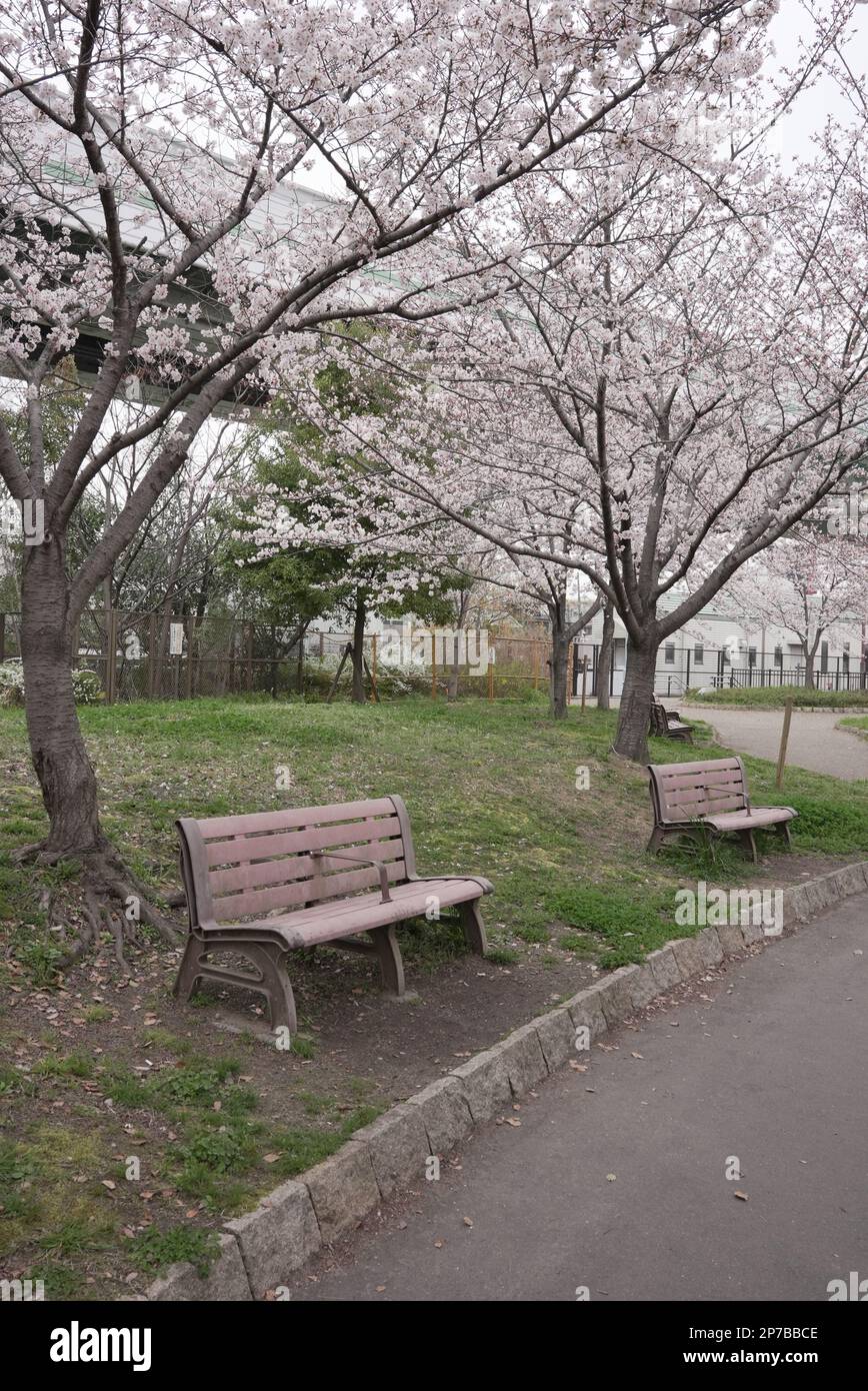 nature landscape worldwide Stock Photo - Alamy