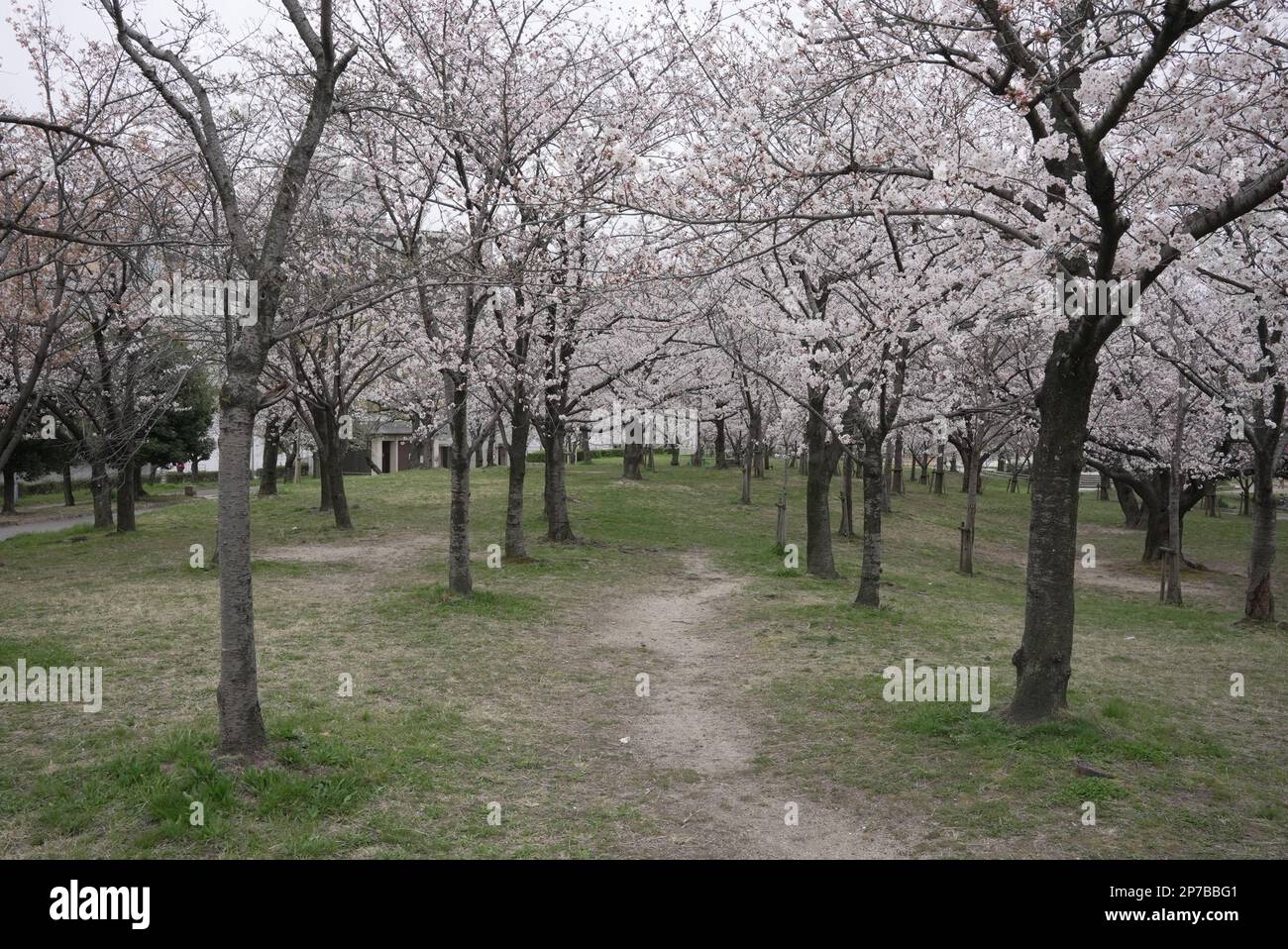 nature landscape worldwide Stock Photo - Alamy