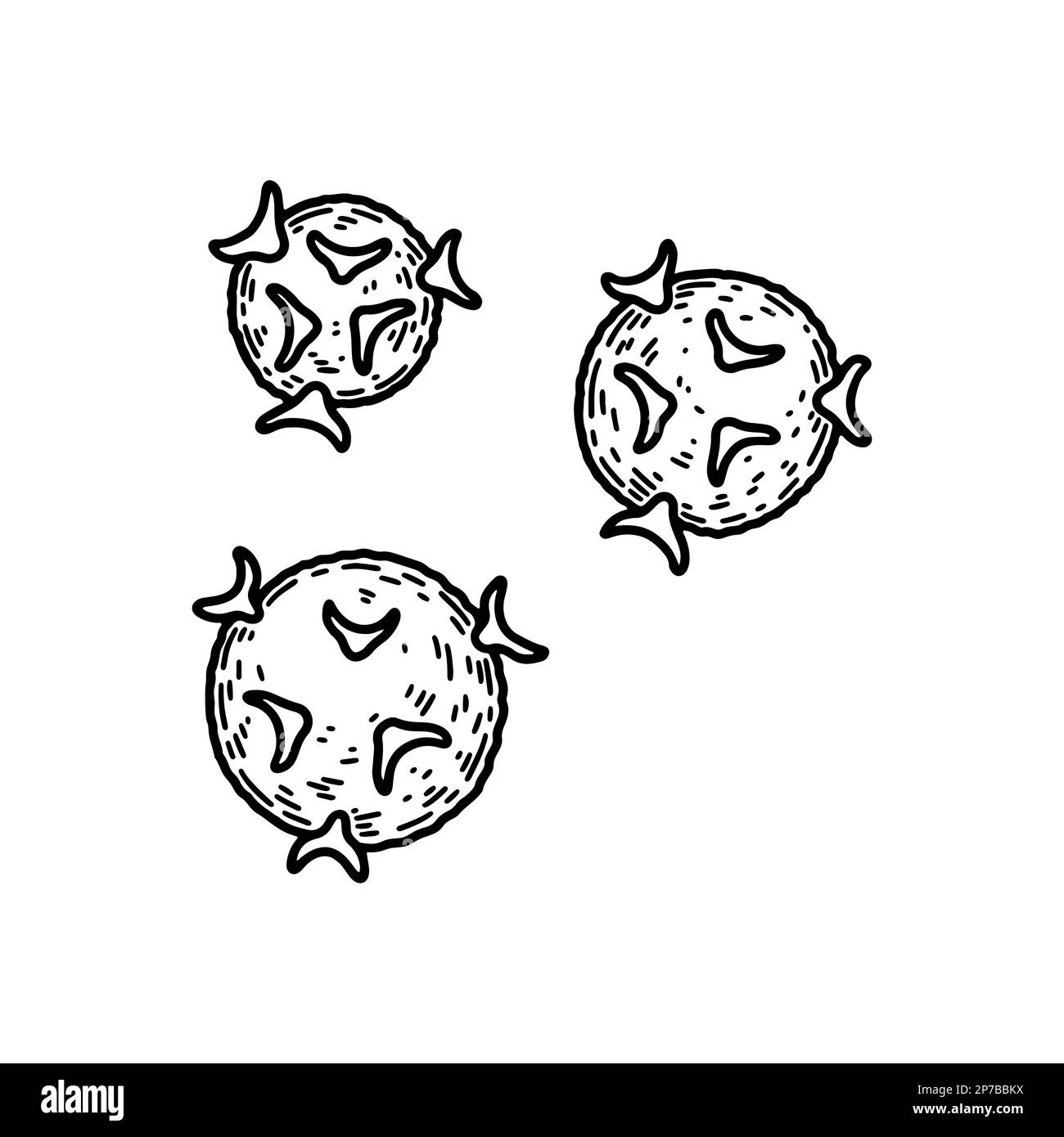 T-helper cells isolated on white background. Hand drawn scientific ...