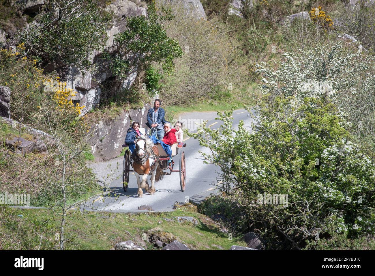 Everyday Life In Ireland Stock Photo - Alamy