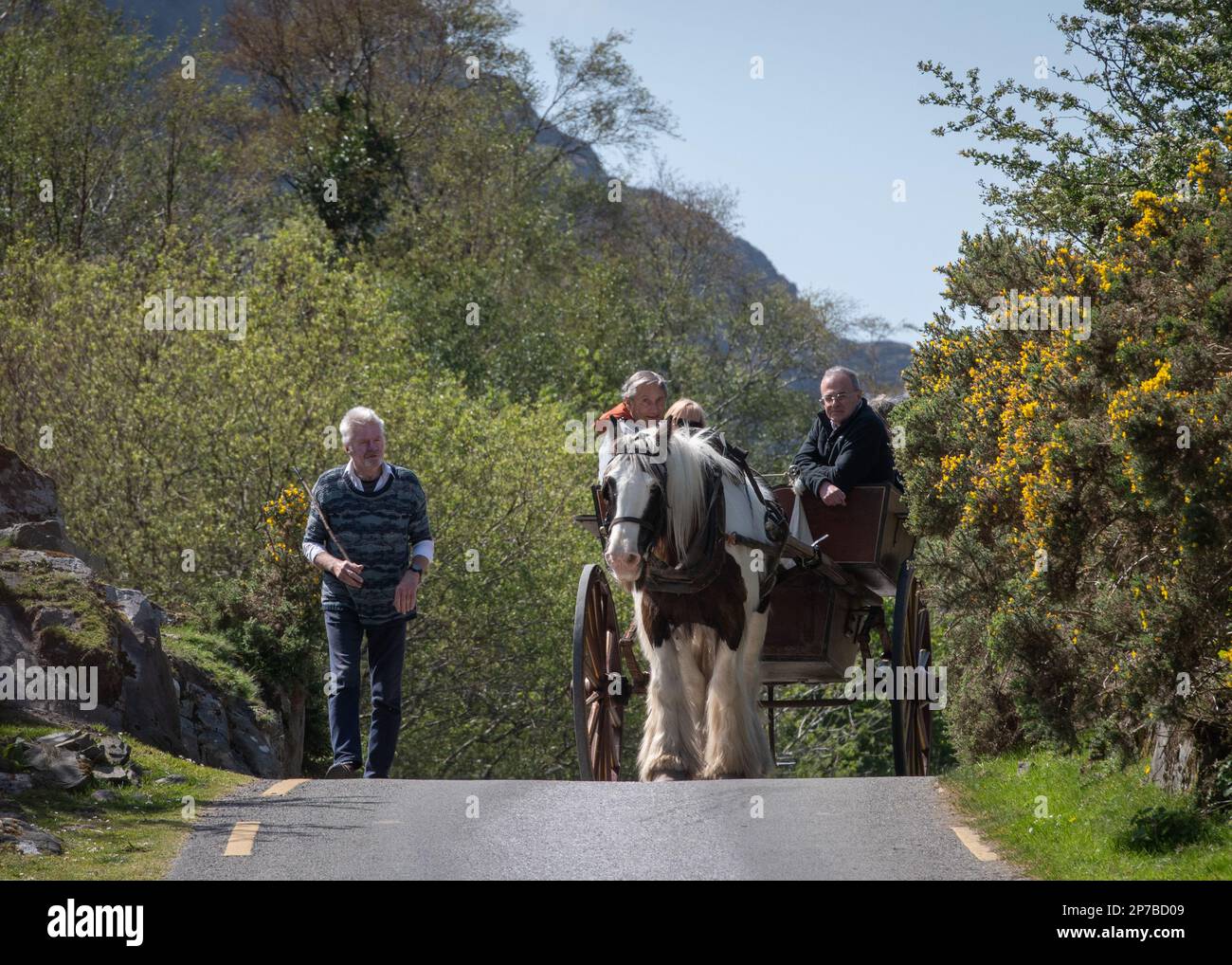 Everyday Life In Ireland Stock Photo - Alamy