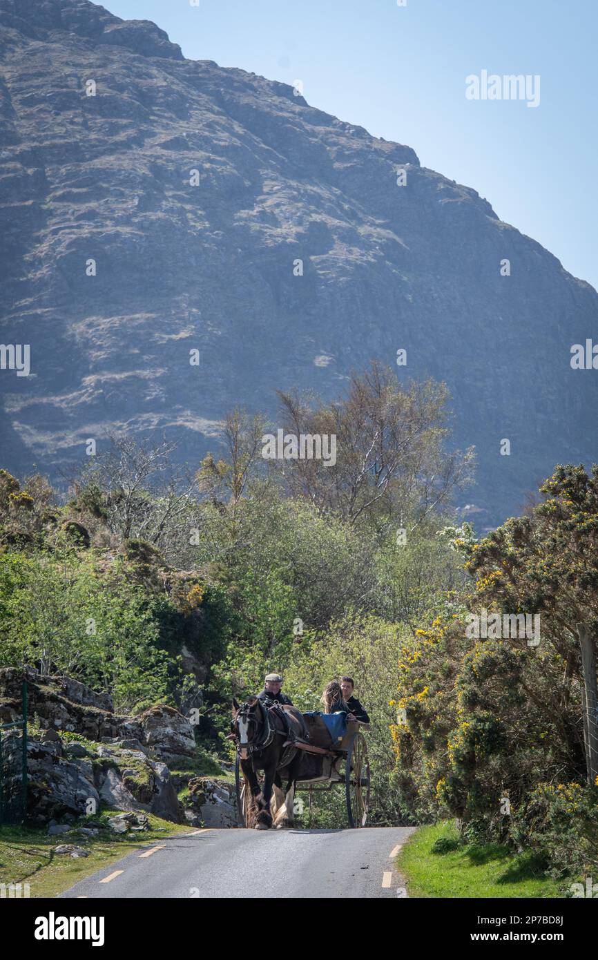 Everyday Life In Ireland Stock Photo - Alamy