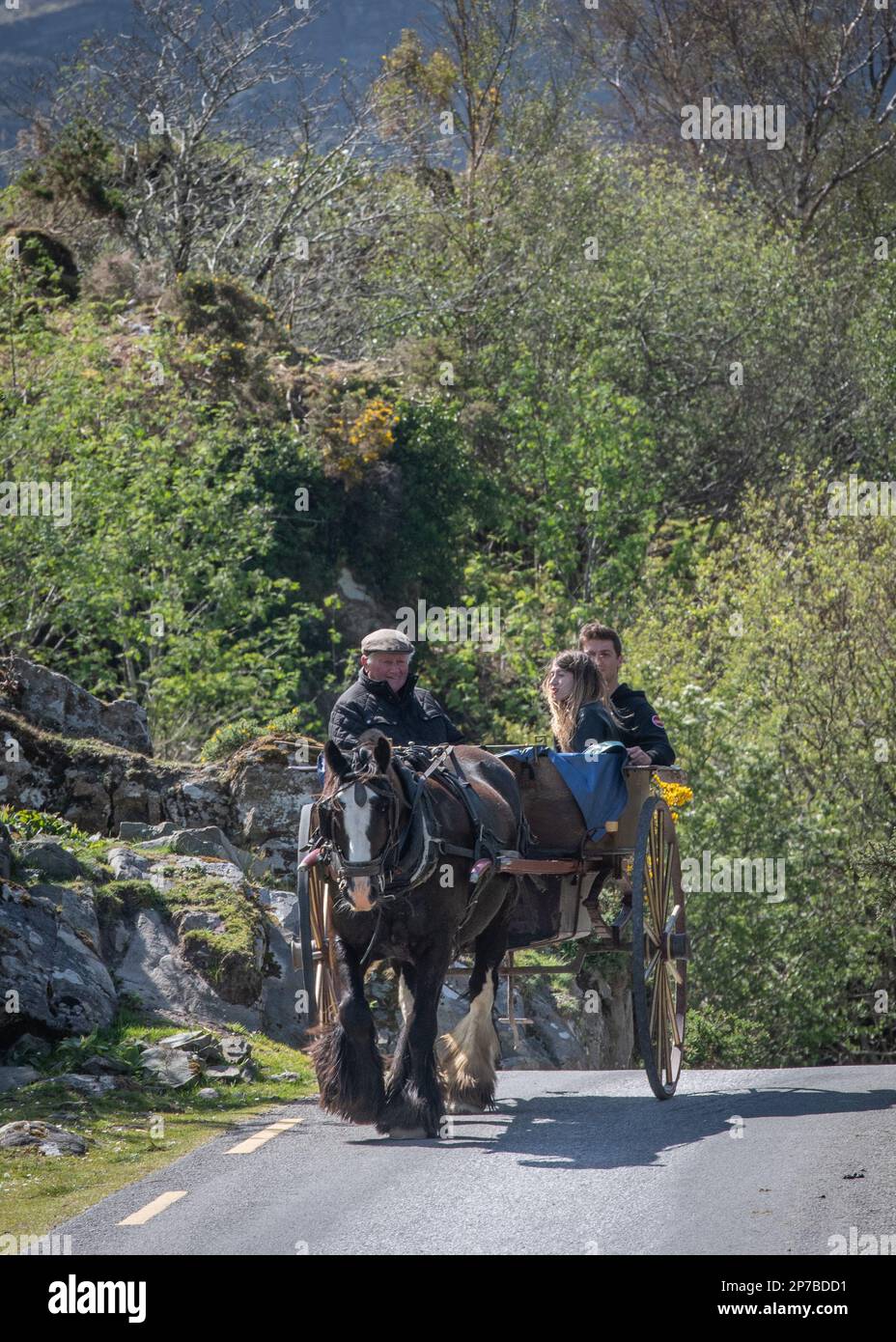 Everyday Life In Ireland Stock Photo - Alamy