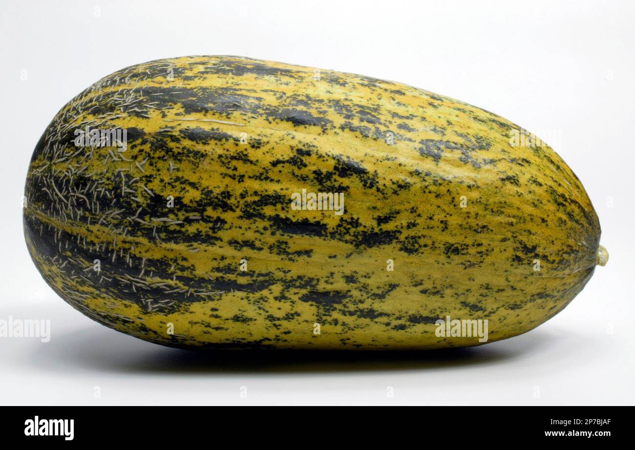 A melon photographed on June 23, 2004. (AP Photo/Houston Chronicle ...