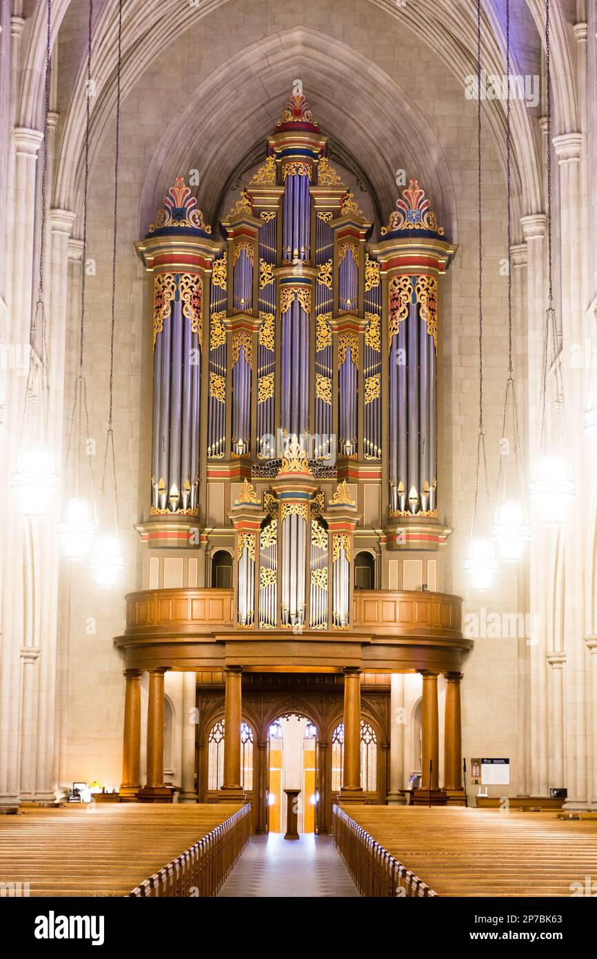 Chapel Drive, Duke University, Durham, North Carolina, showing green ...