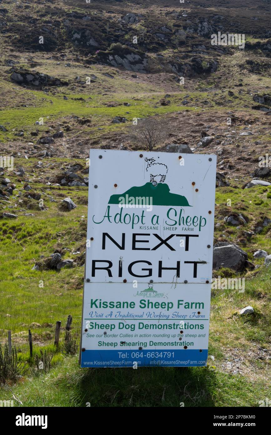 Everyday Life In Ireland Stock Photo - Alamy