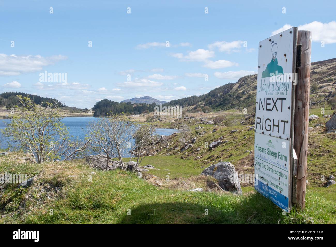 Everyday Life In Ireland Stock Photo - Alamy