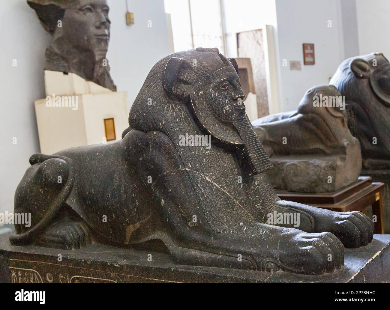 Amenemhat iii sphinx hi-res stock photography and images - Alamy