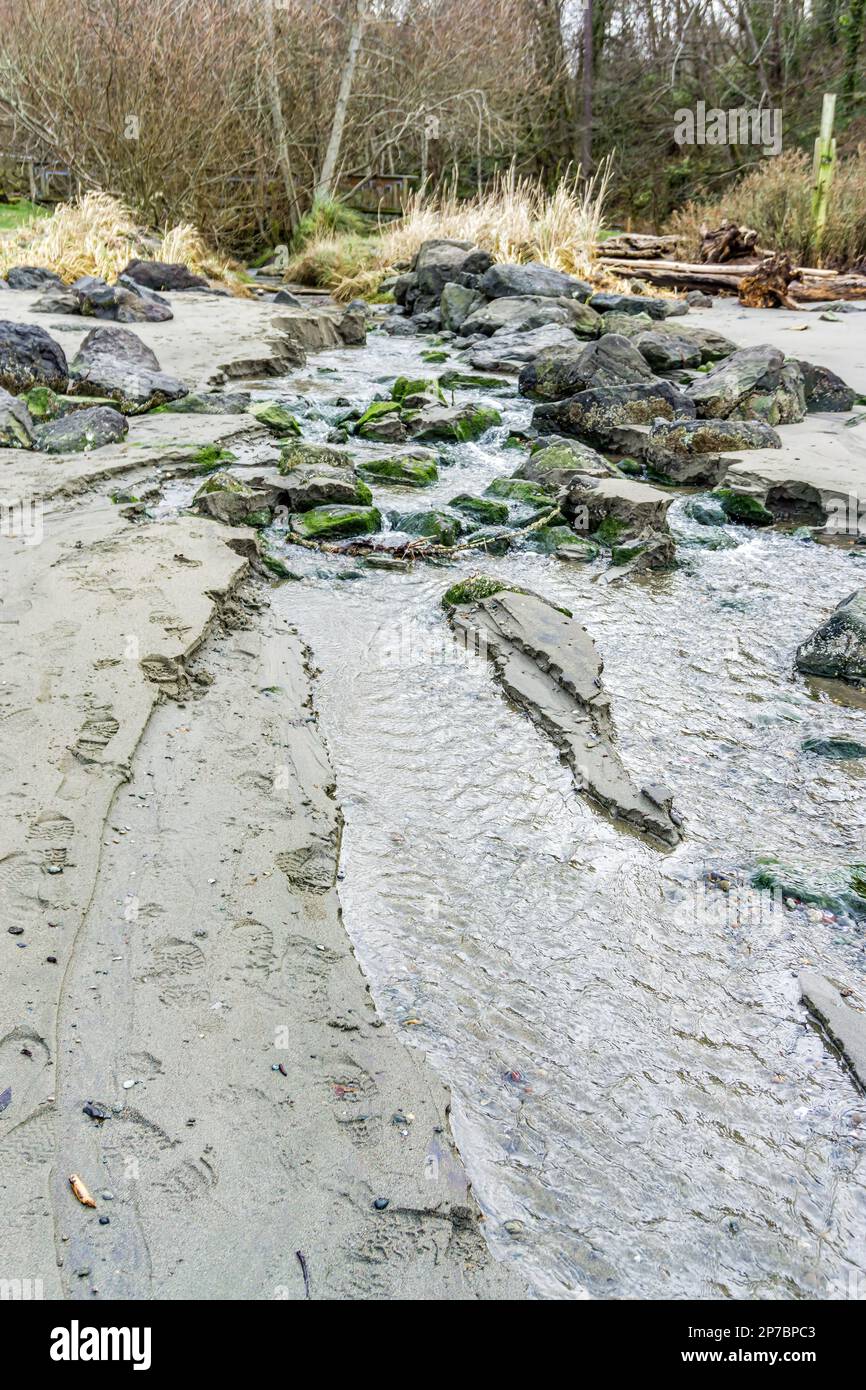 A stream flows along the shore at Dash Point State Park in Washington ...